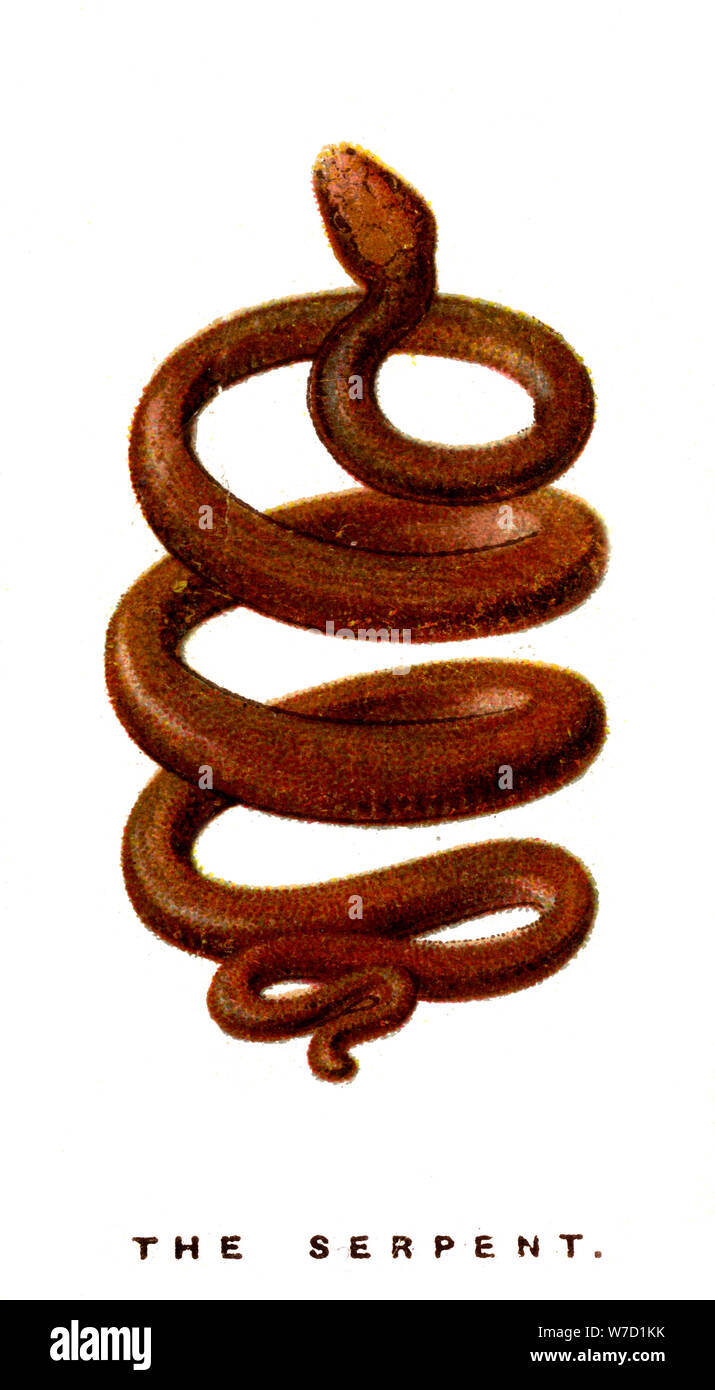 Serpent symbol hi-res stock photography and images - Alamy