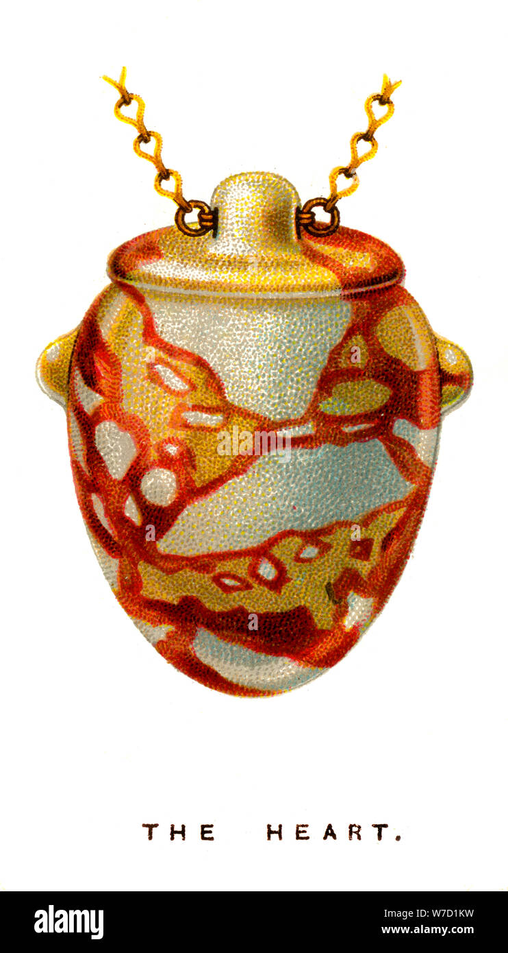 The Heart, 1923. Artist: Unknown Stock Photo - Alamy