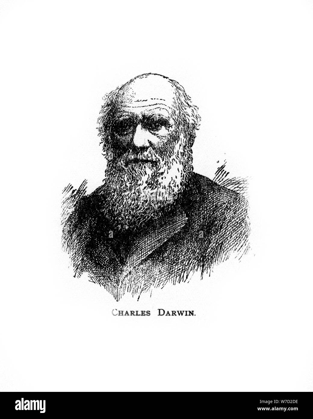 Charles darwin geology hi-res stock photography and images - Alamy