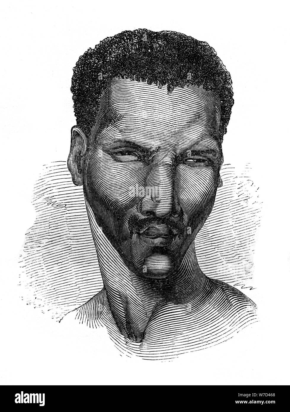 Black kafir hi-res stock photography and images - Alamy