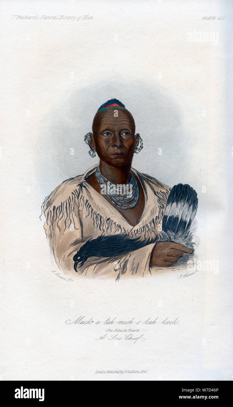 Black hawk indian chief hi-res stock photography and images - Alamy