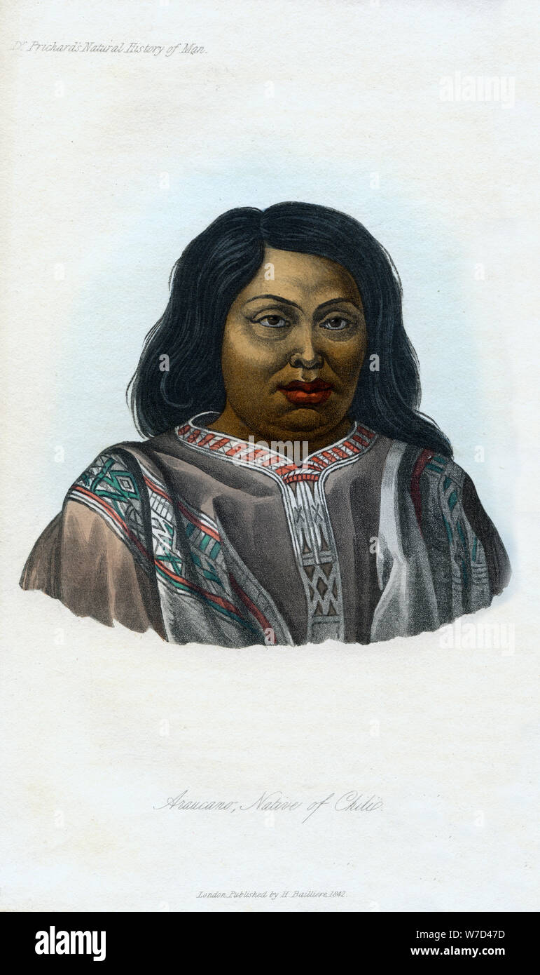 Araucano hi-res stock photography and images - Alamy