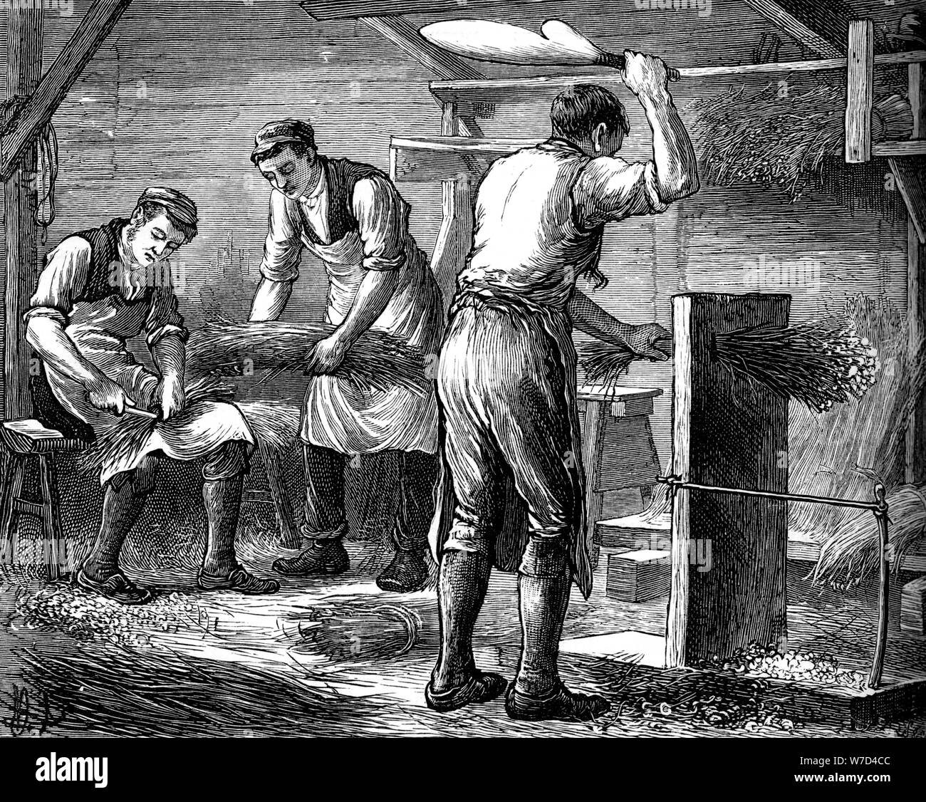 Hand-scutchers at work, c1880. Artist: Unknown Stock Photo - Alamy