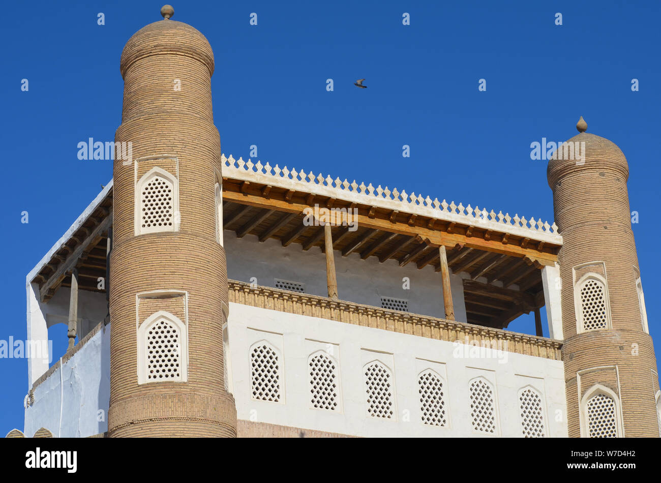 The Ark Fortress in Bukhara, Uzbekistan Stock Photo - Alamy