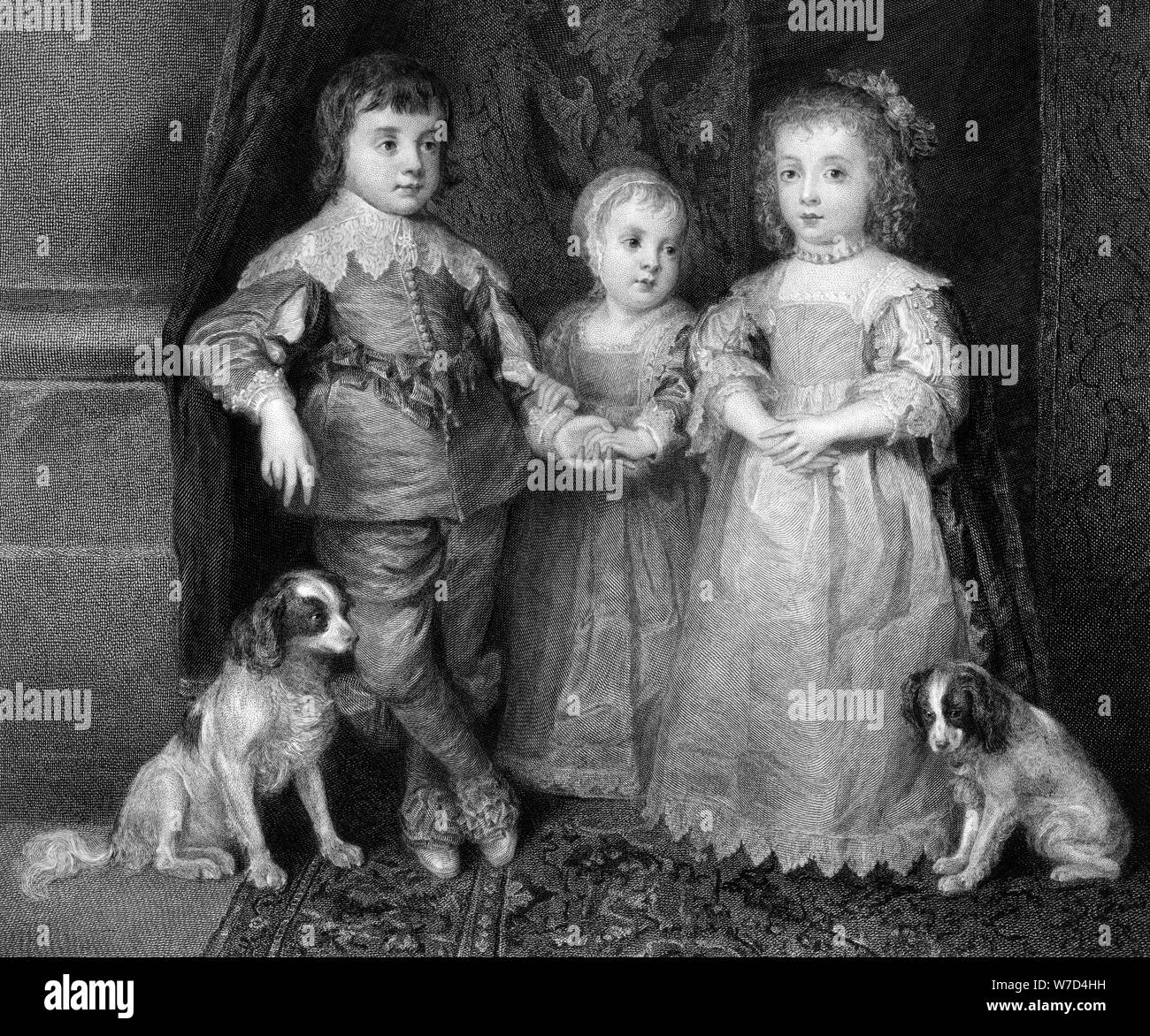 Prince charles spaniel hi-res stock photography and images - Alamy