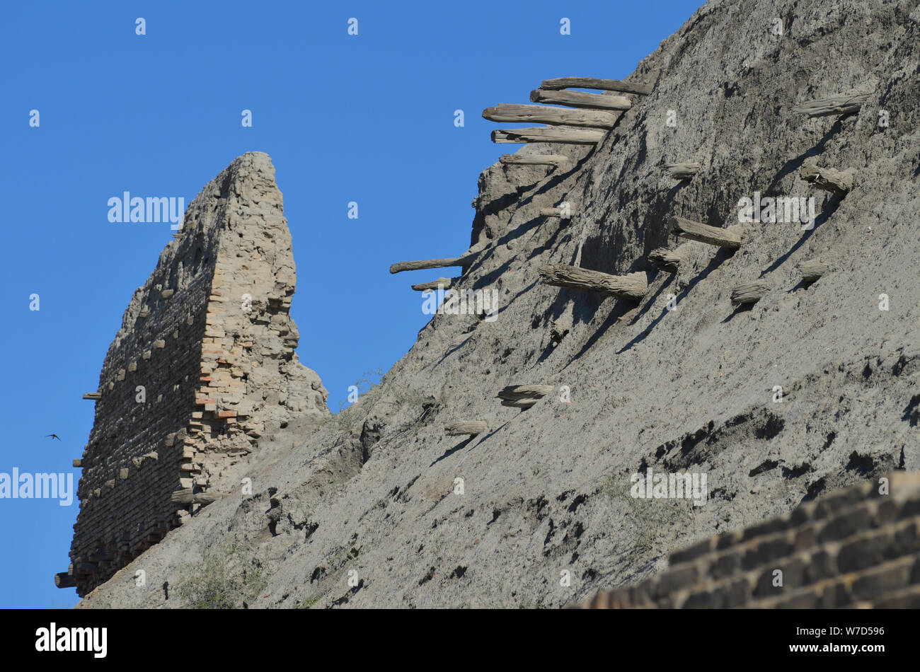 The Ark Fortress in Bukhara, Uzbekistan Stock Photo - Alamy
