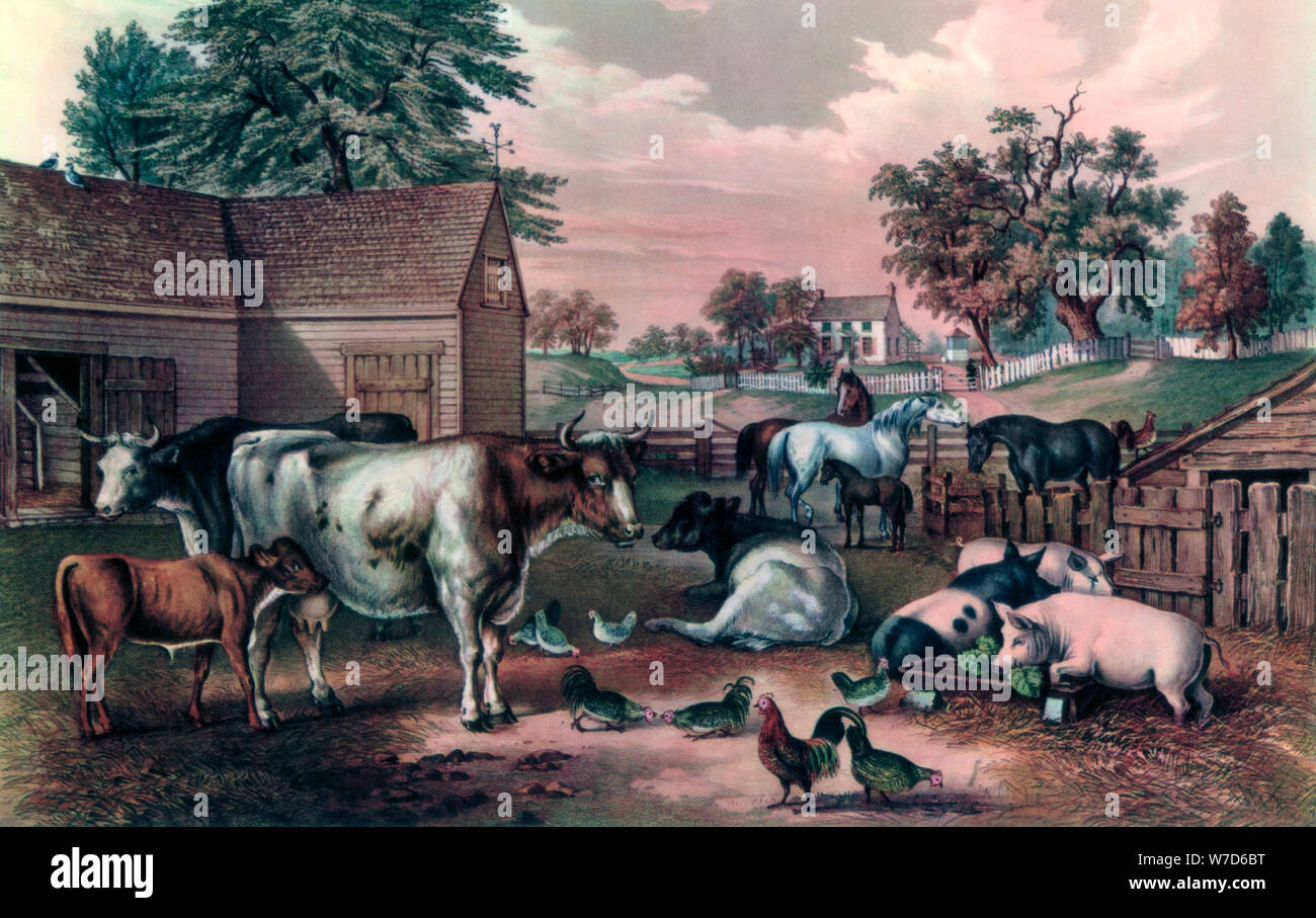 Victorian farm pig hi-res stock photography and images - Alamy