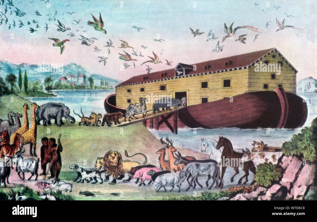 Noahs ark animals sheep hi-res stock photography and images - Alamy