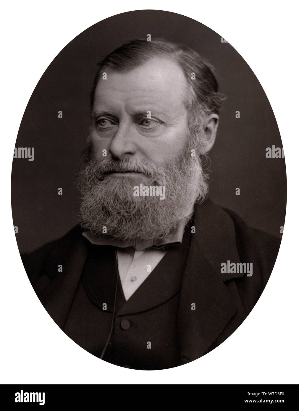 Black head forster hi-res stock photography and images - Alamy