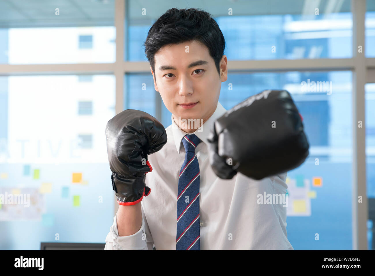 Office life concept, two asian business partners working in office 227 ...