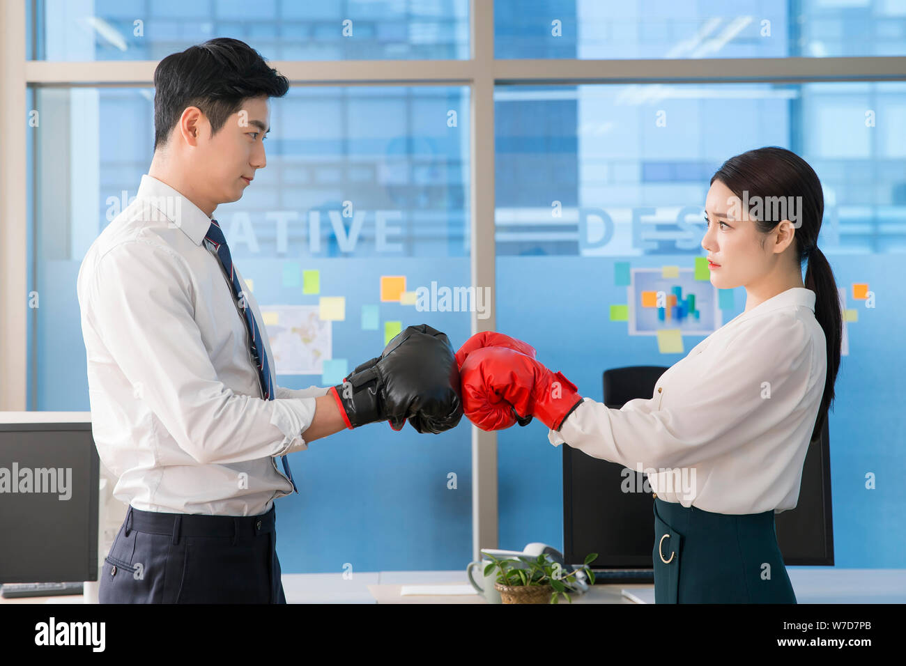 Office life concept, two asian business partners working in office 196 ...