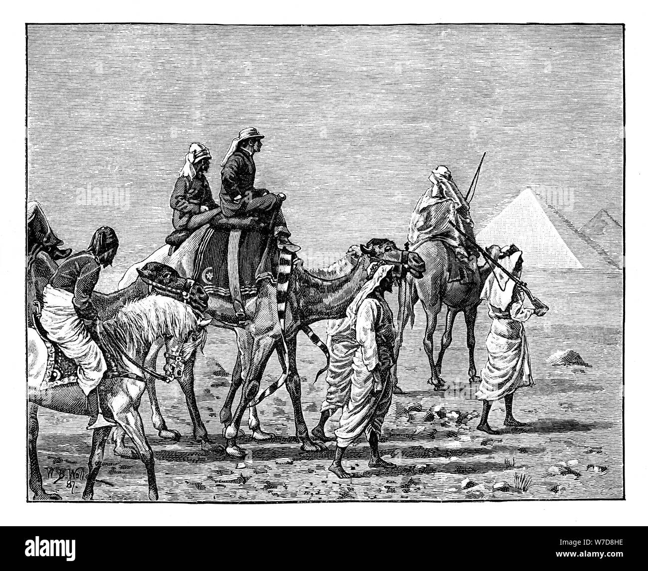 Camel unknown Black and White Stock Photos & Images - Alamy