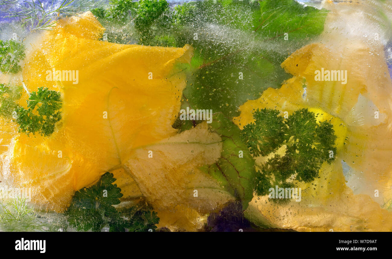 Background fresh season squash Yellow flower and leaf of pasley in ice ...
