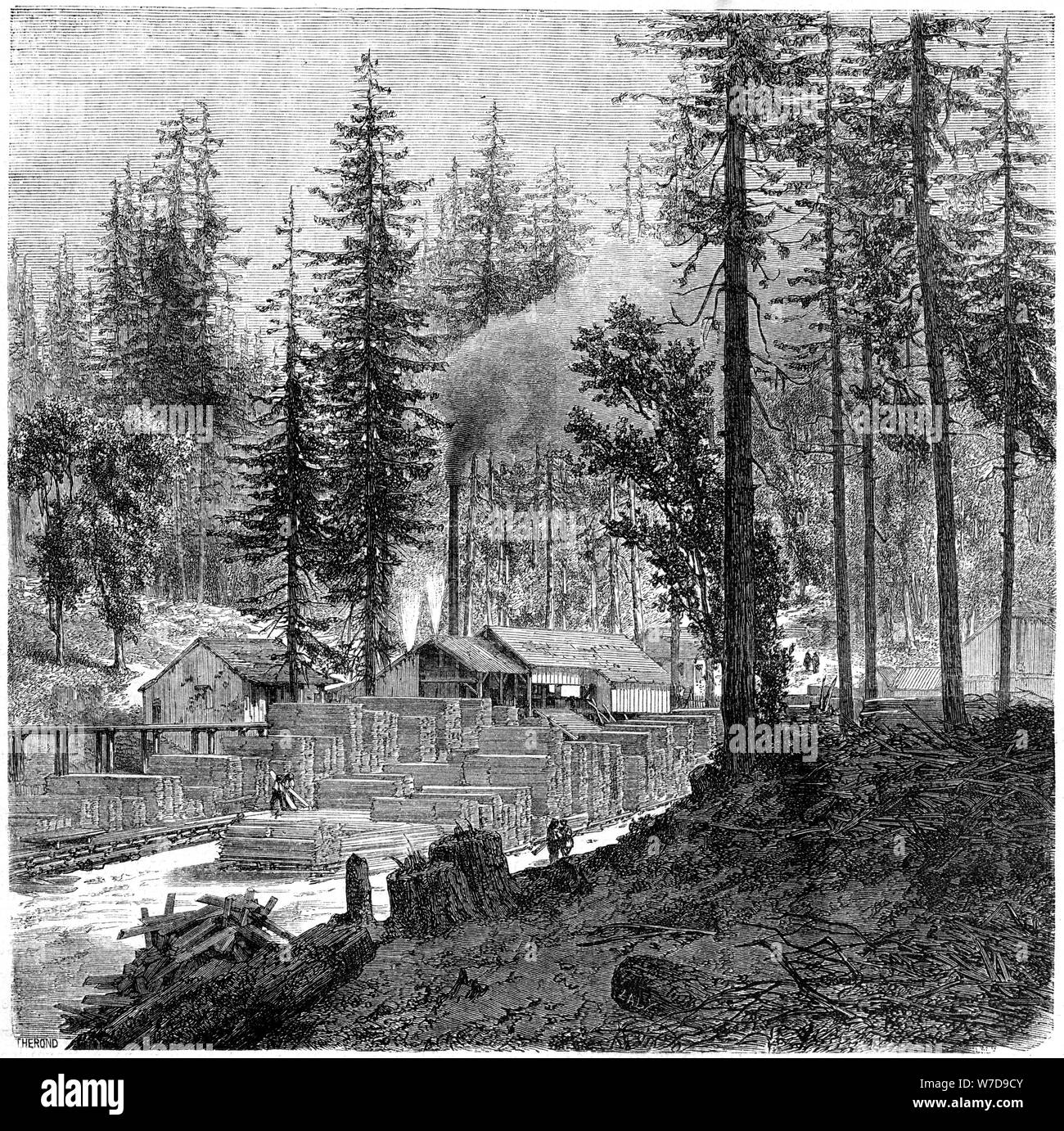 19th century logging hi-res stock photography and images - Alamy