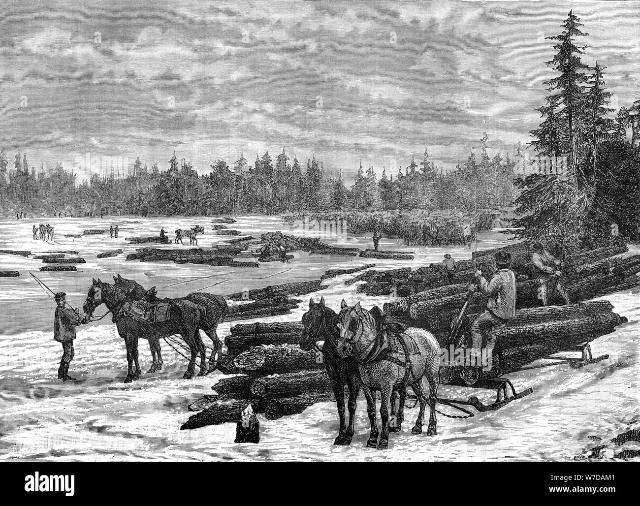 19th century logging hi-res stock photography and images - Alamy