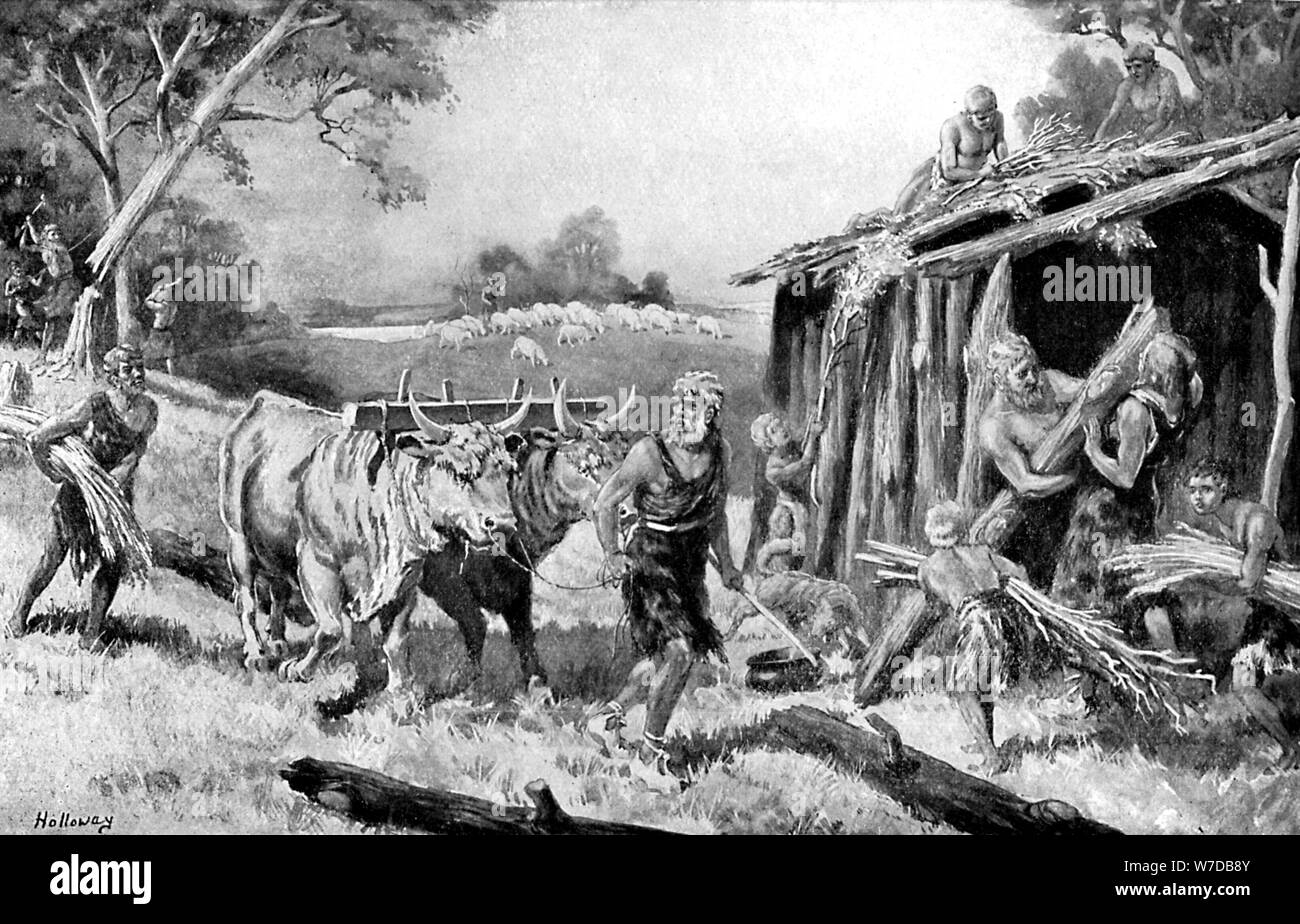 Building a tribal homestead, (c1920). Artist: A Holloway Stock Photo ...
