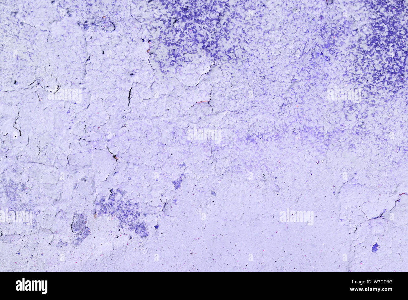 Old painted wall of purple color texture close up. Abstract background ...