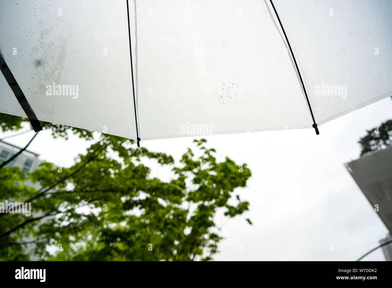a beautiful city view in a rainy day 016 Stock Photo - Alamy