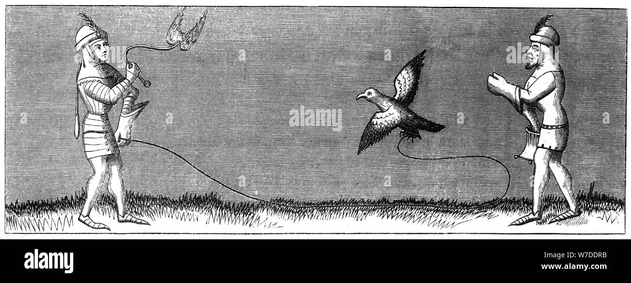 Falcon train hi-res stock photography and images - Alamy