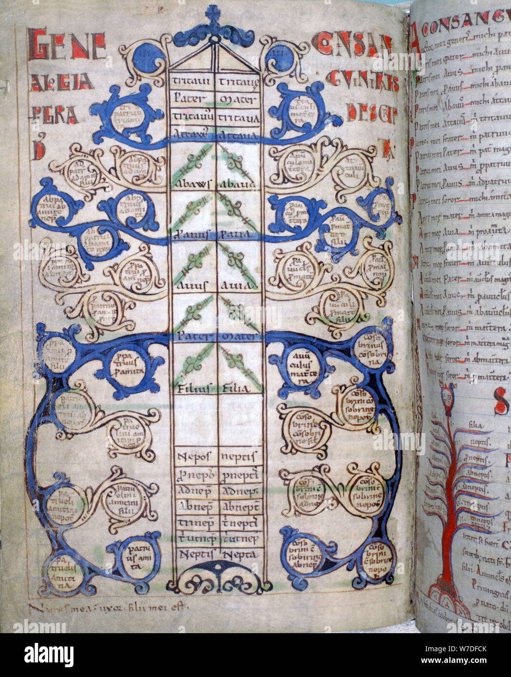Table of the degrees of Consanguinity, a page from Liber Floridus, 12th ...