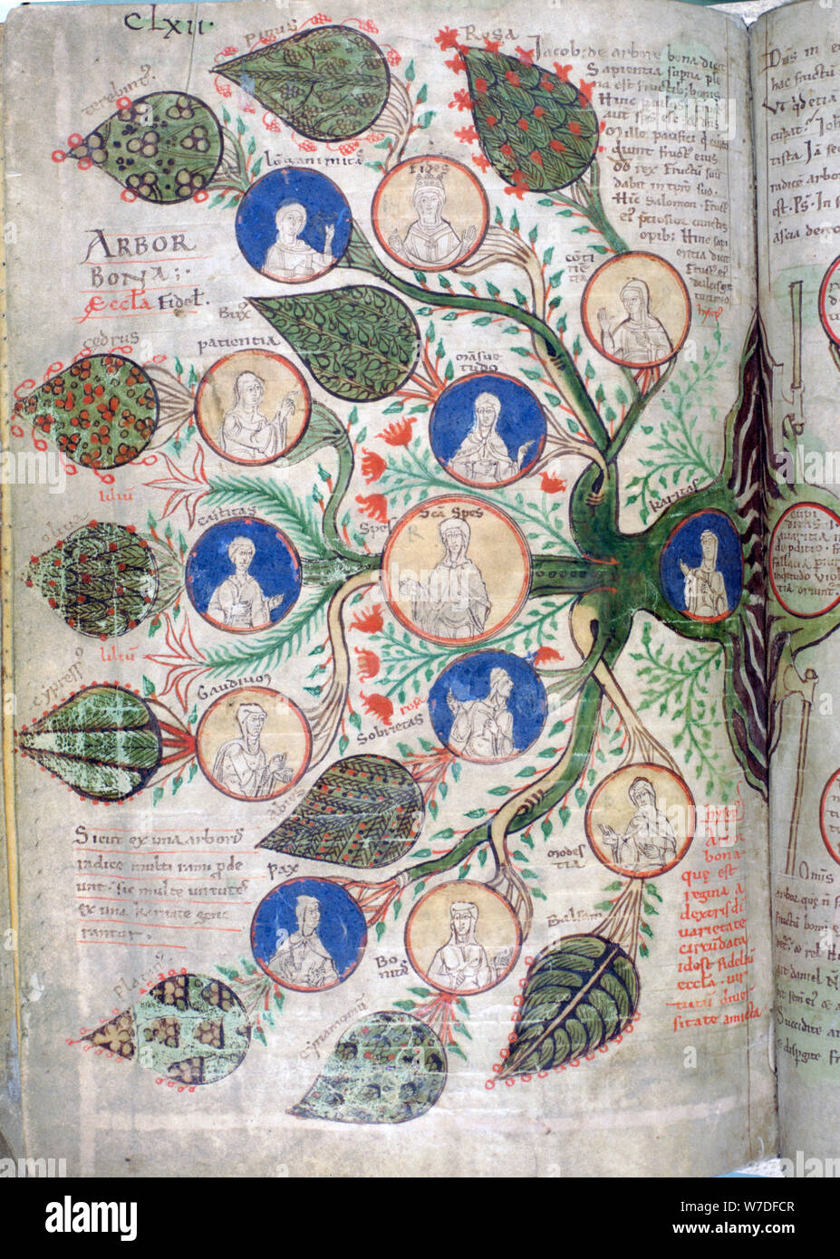 Medieval family tree hi-res stock photography and images - Alamy