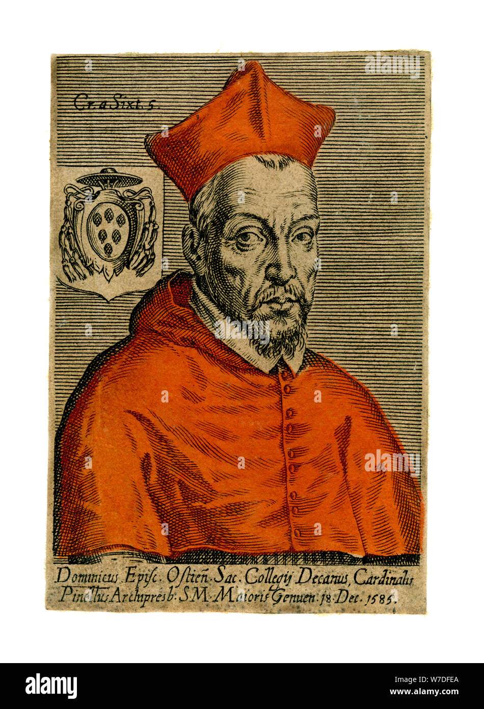 Bearded cardinal hi-res stock photography and images - Alamy