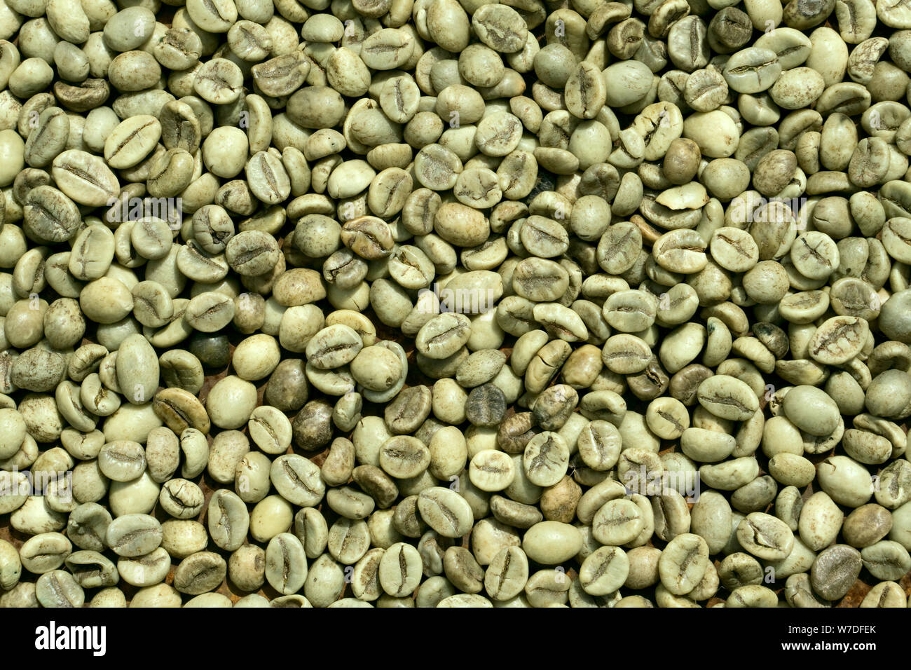 Bio green cafe hi-res stock photography and images - Alamy