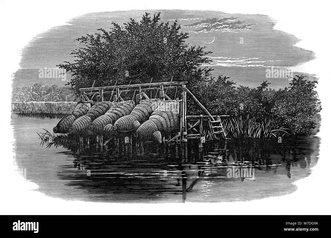 Eel bucks on the Thames, 19th century. Artist: Unknown Stock Photo - Alamy