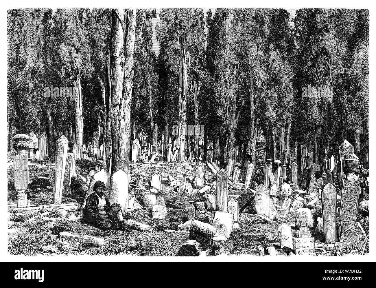Cypress trees in the cemetery of Scutari, Turkey, 1895. Artist: Unknown ...