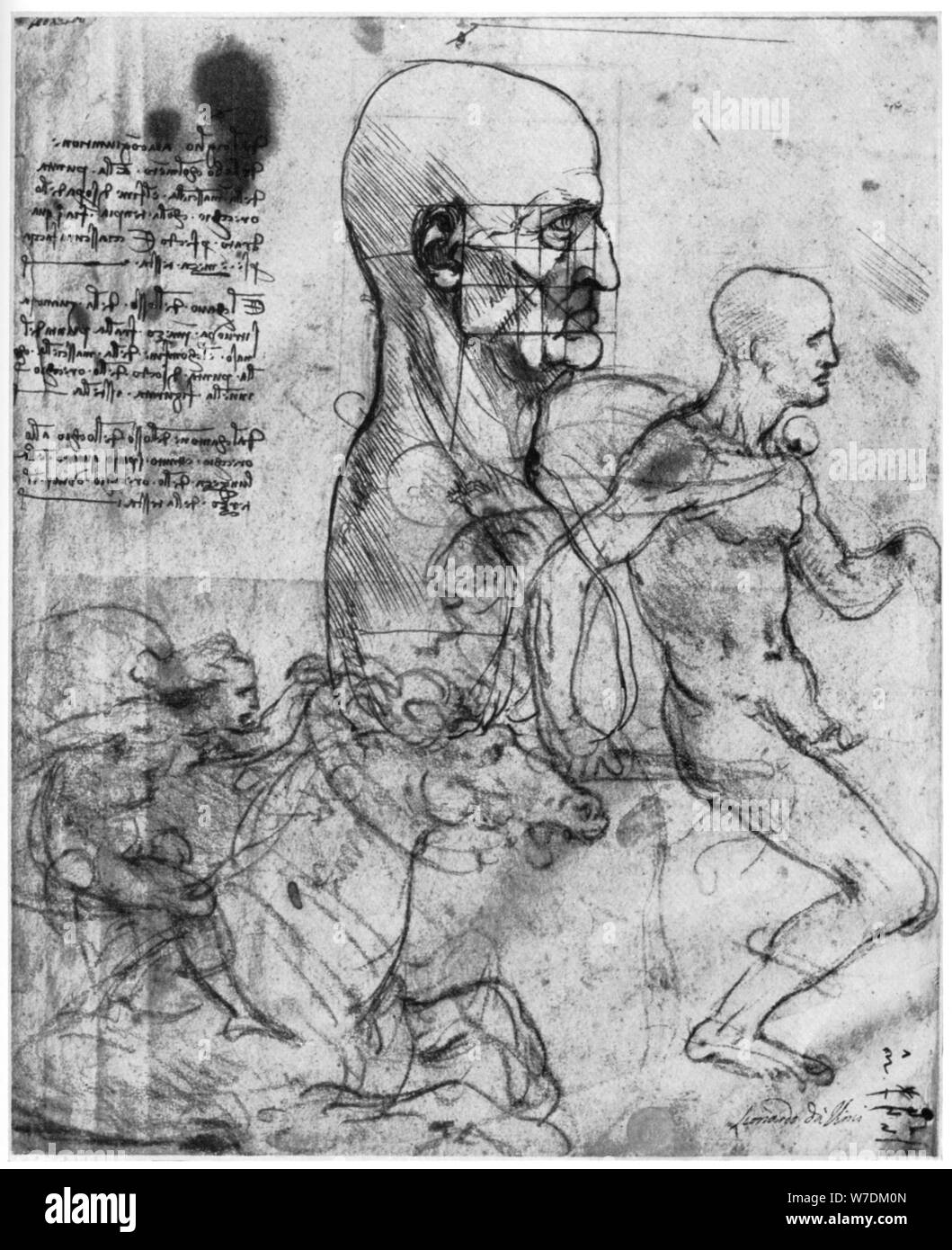 Profile of a man's head and studies of two riders, c1490 and c1504 ...