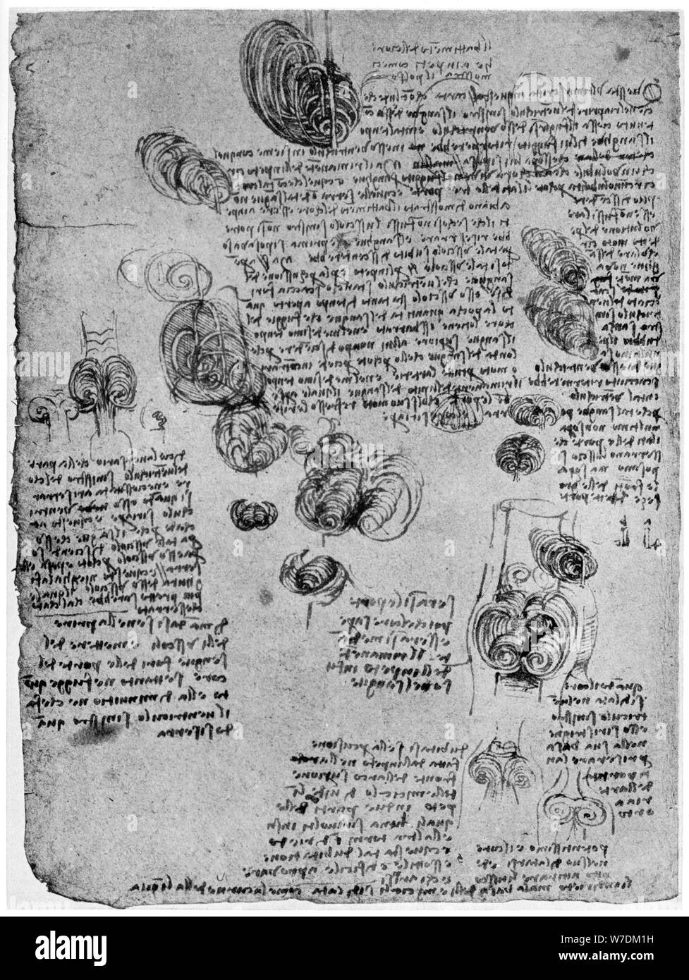 Diagram of the blood vortex in the heart, late 15th or early 16th ...