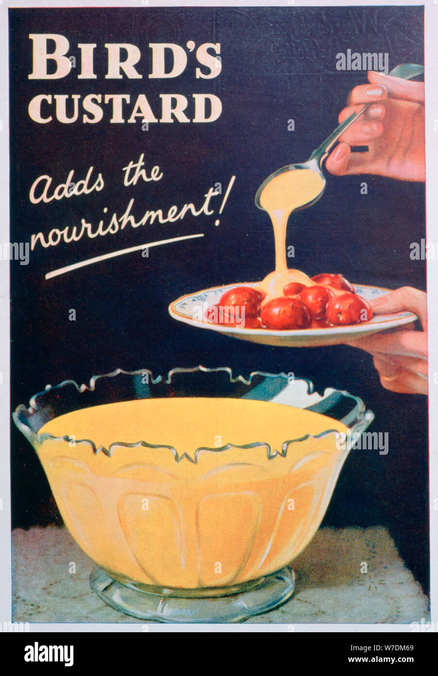 Advert for Bird's Custard, 1935. Artist: Unknown Stock Photo - Alamy