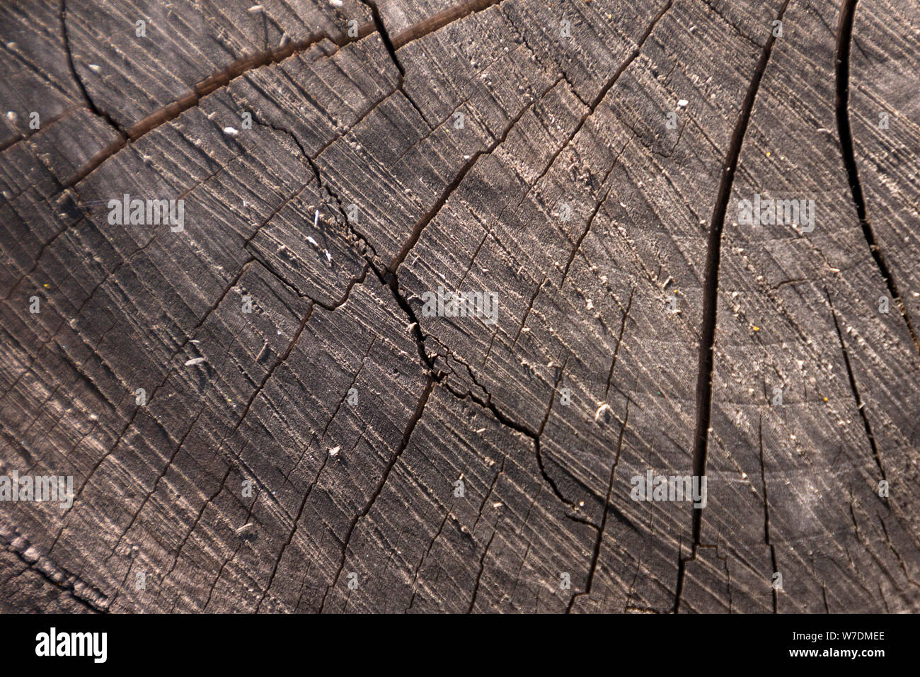 Various textures backgrounds 010 Stock Photo - Alamy