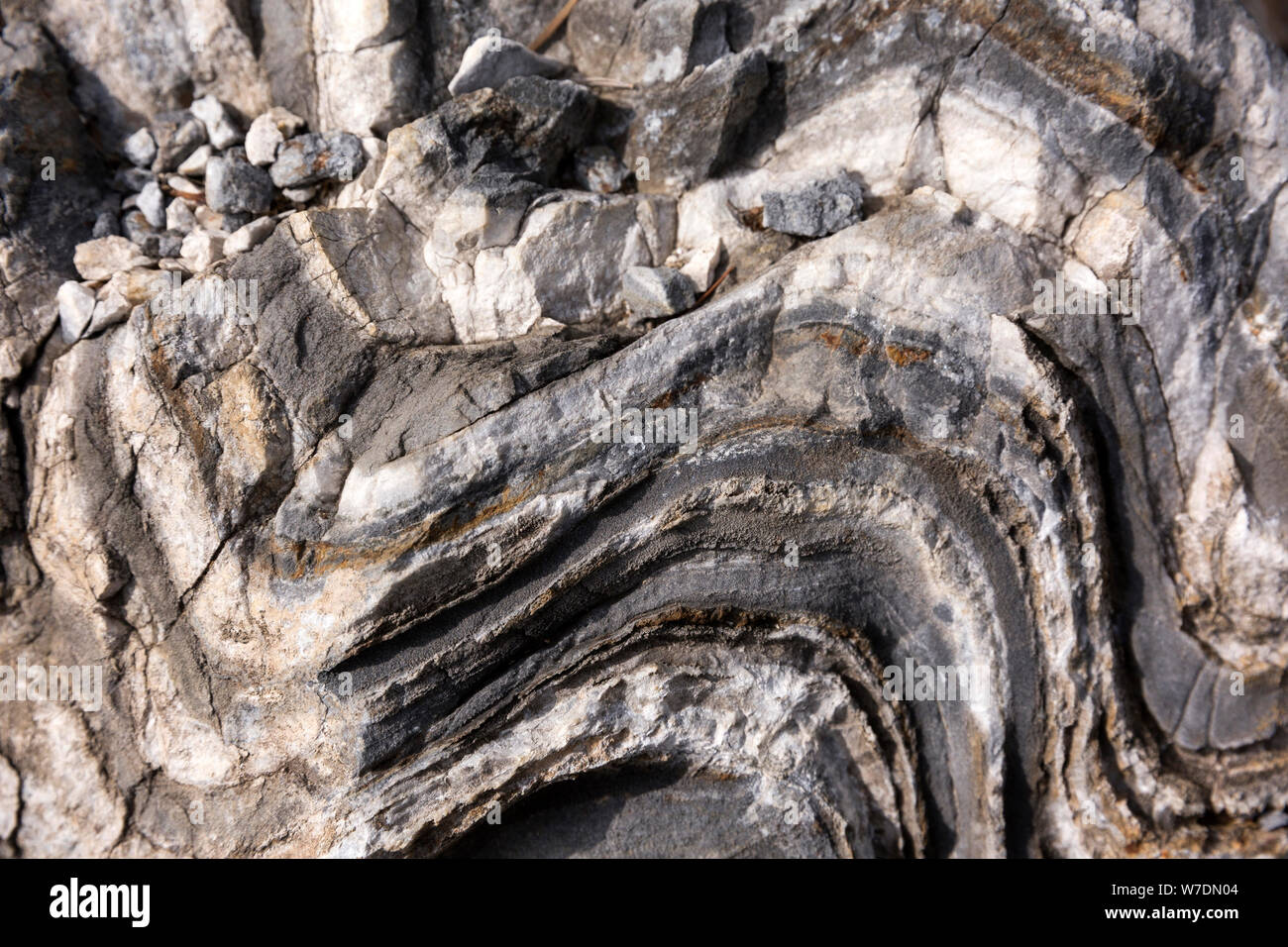 Various textures backgrounds 003 Stock Photo - Alamy
