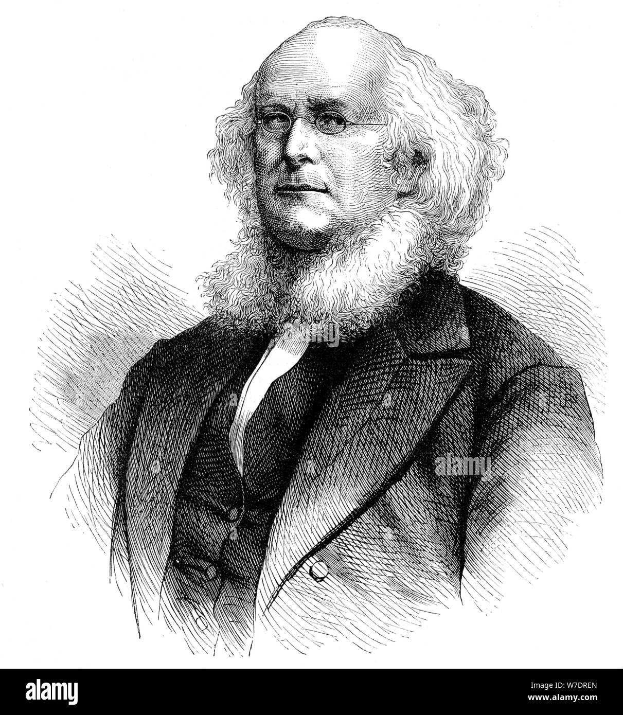 Whiskers whisker hi-res stock photography and images - Alamy