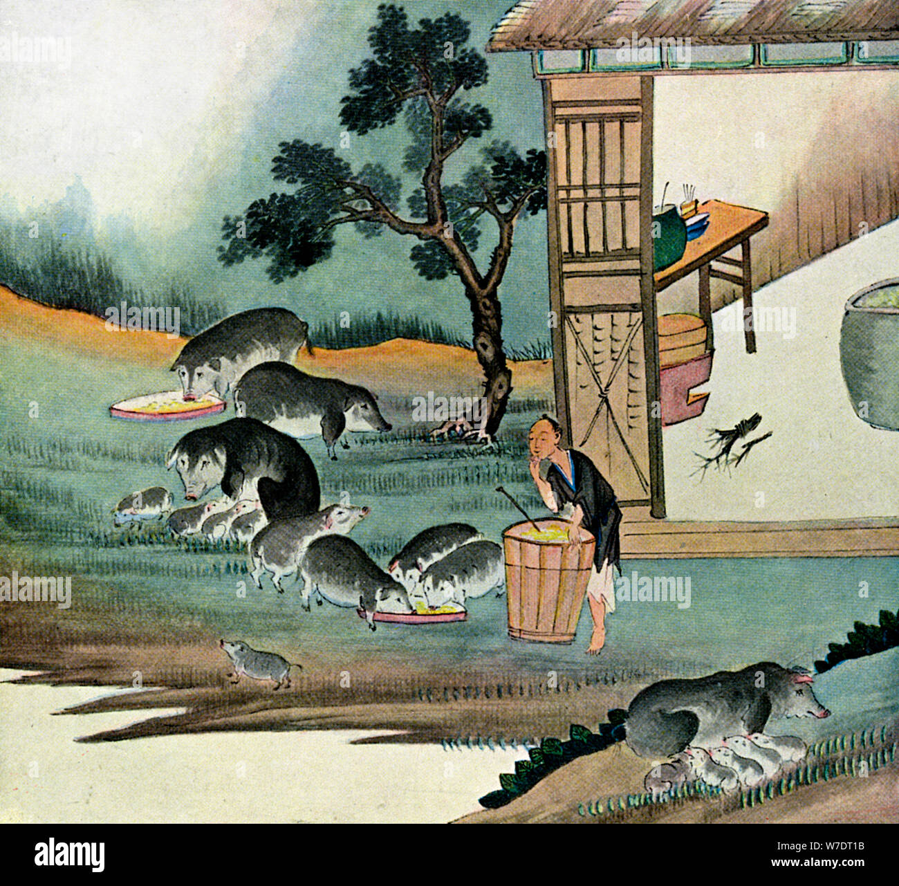 China pig farm building hi-res stock photography and images - Alamy