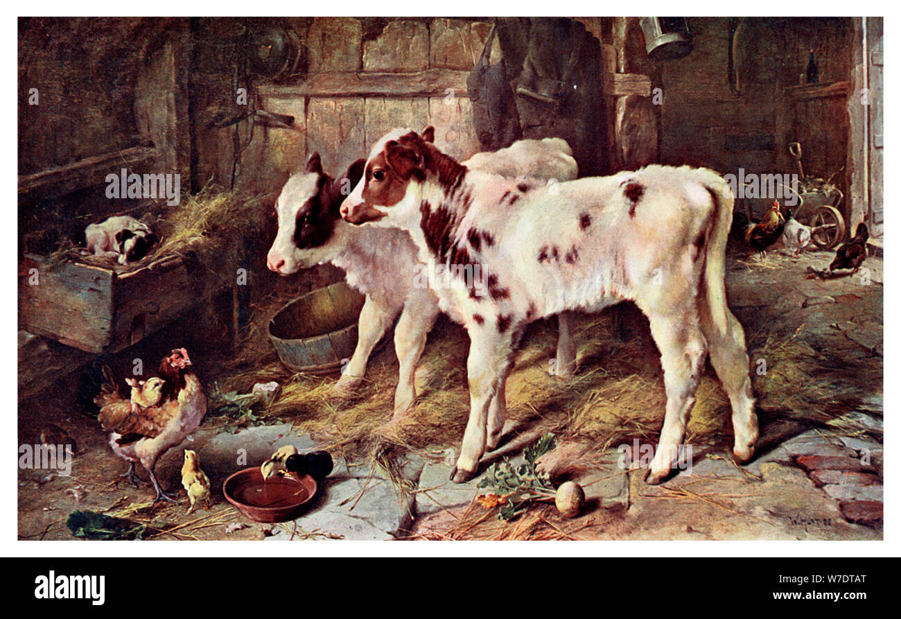 'The Dog in the Manger', 1885 (1901). Artist: Unknown Stock Photo - Alamy