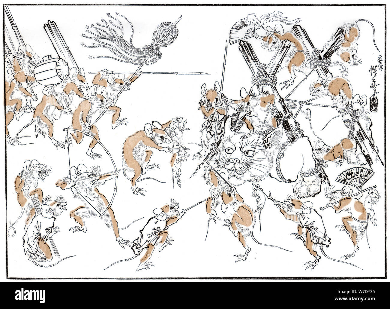 Country cat hi-res stock photography and images - Alamy