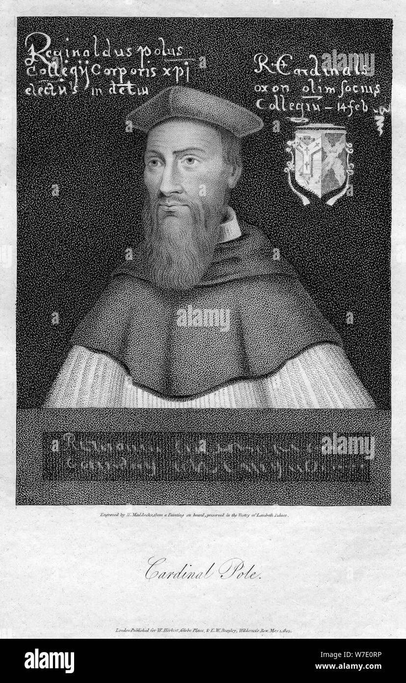 16th century coat of arms england hi-res stock photography and images - Alamy