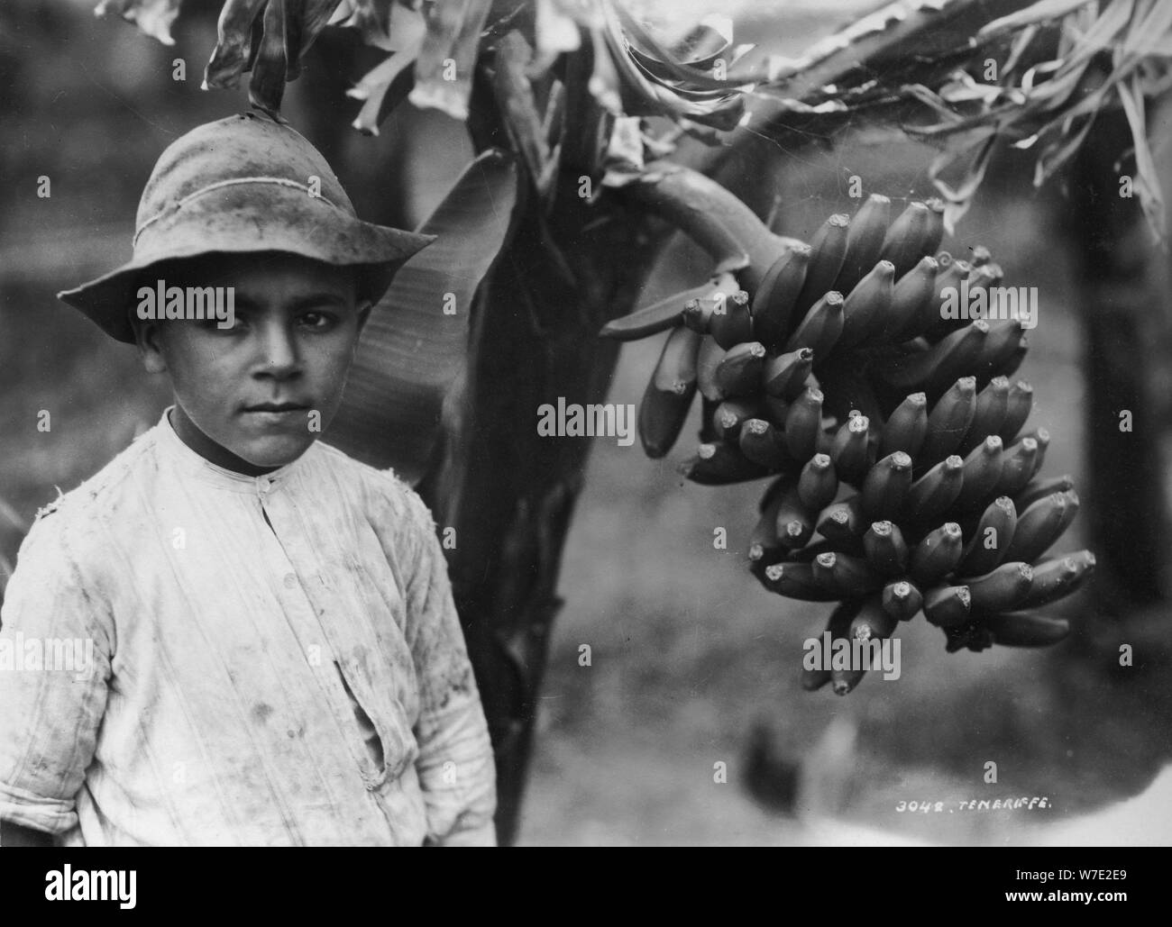 Agriculture spain 1930s hi-res stock photography and images - Alamy