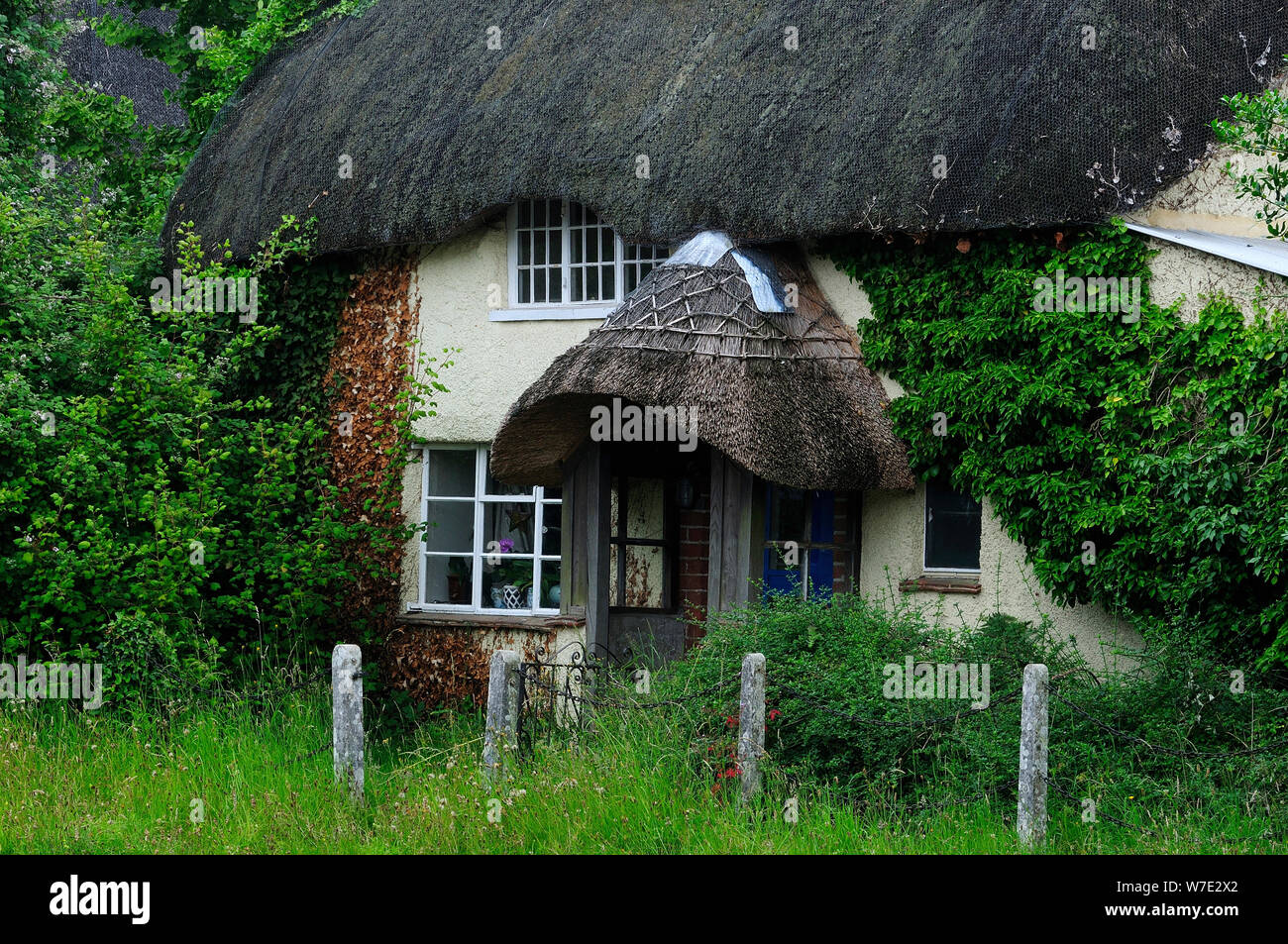 English thatched cottage, Dorset, UK Stock Photo - Alamy
