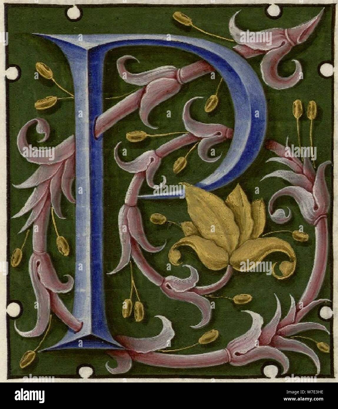 Lettrine p hi-res stock photography and images - Alamy