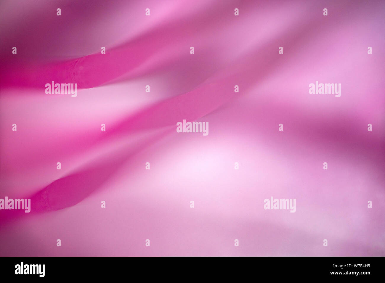 flower pistil ultra macro close up natural background texture Stock ...