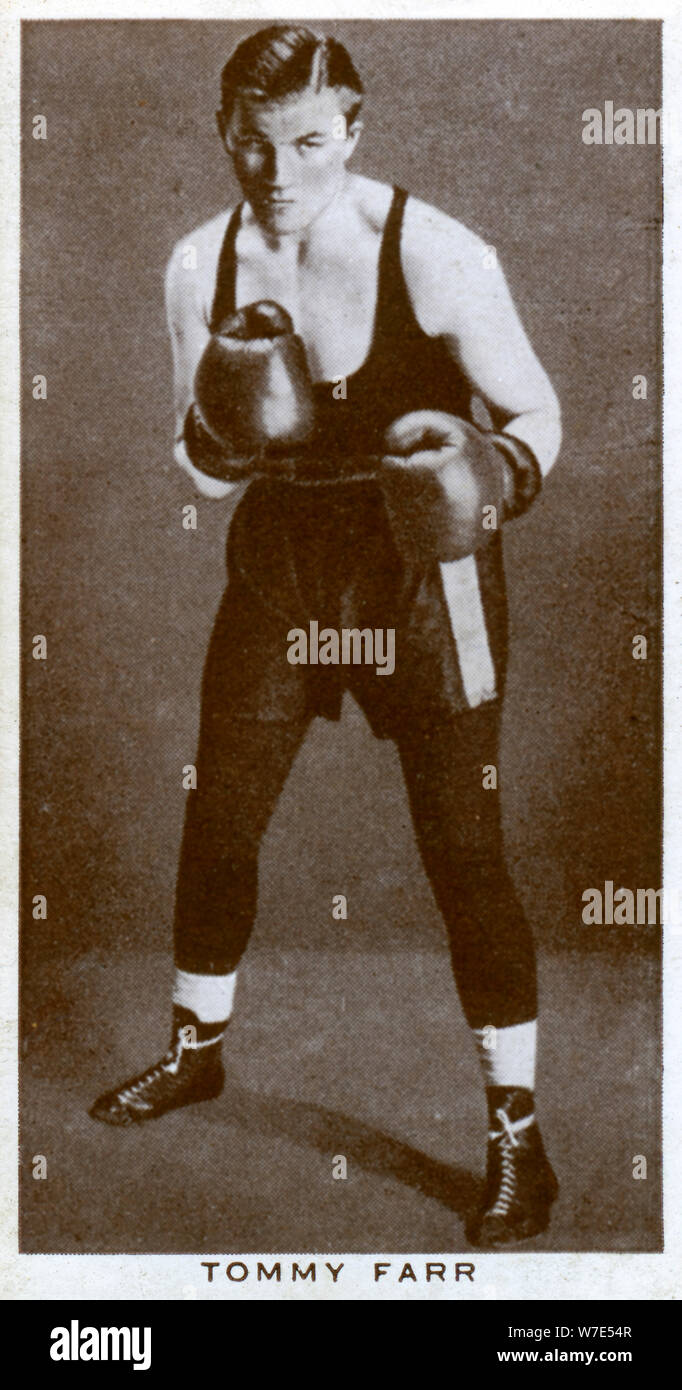 Welsh boxer hi-res stock photography and images - Alamy