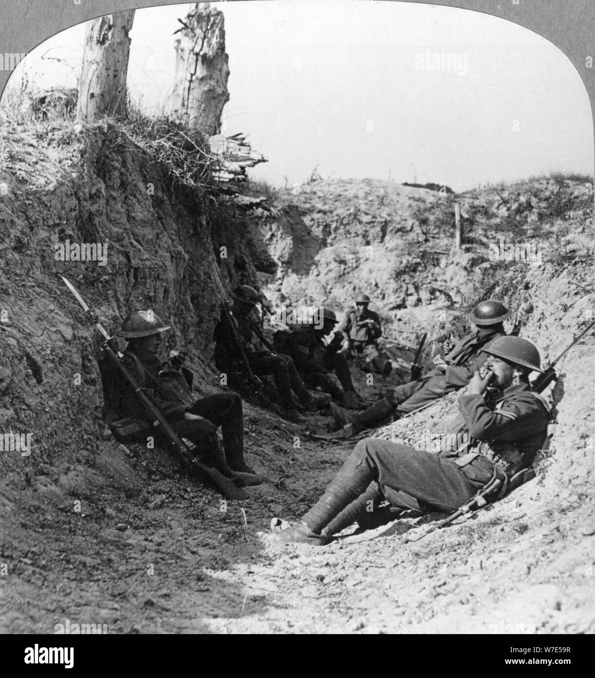 World war i trench hi-res stock photography and images - Alamy
