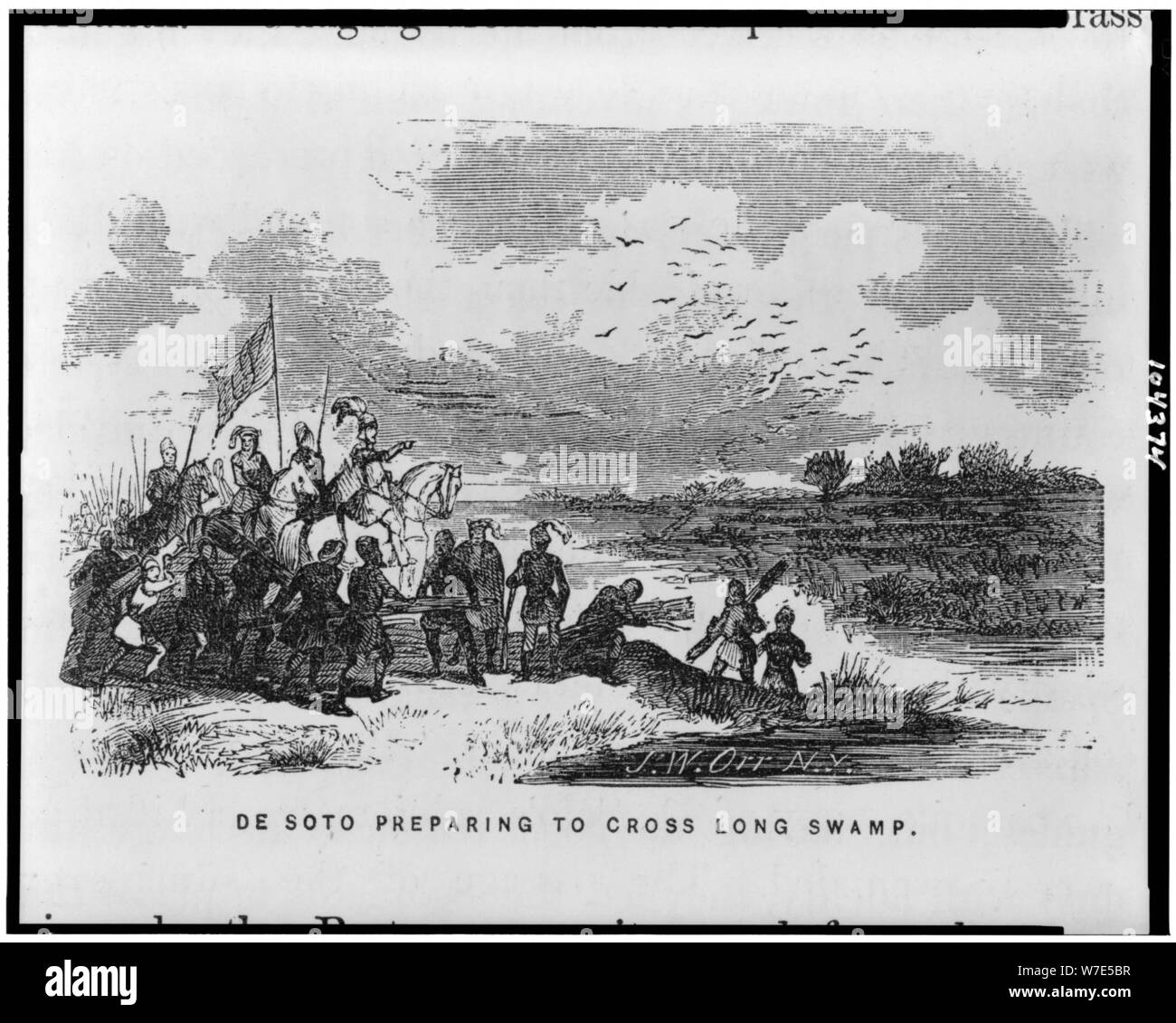 Swamp picture Black and White Stock Photos & Images - Alamy