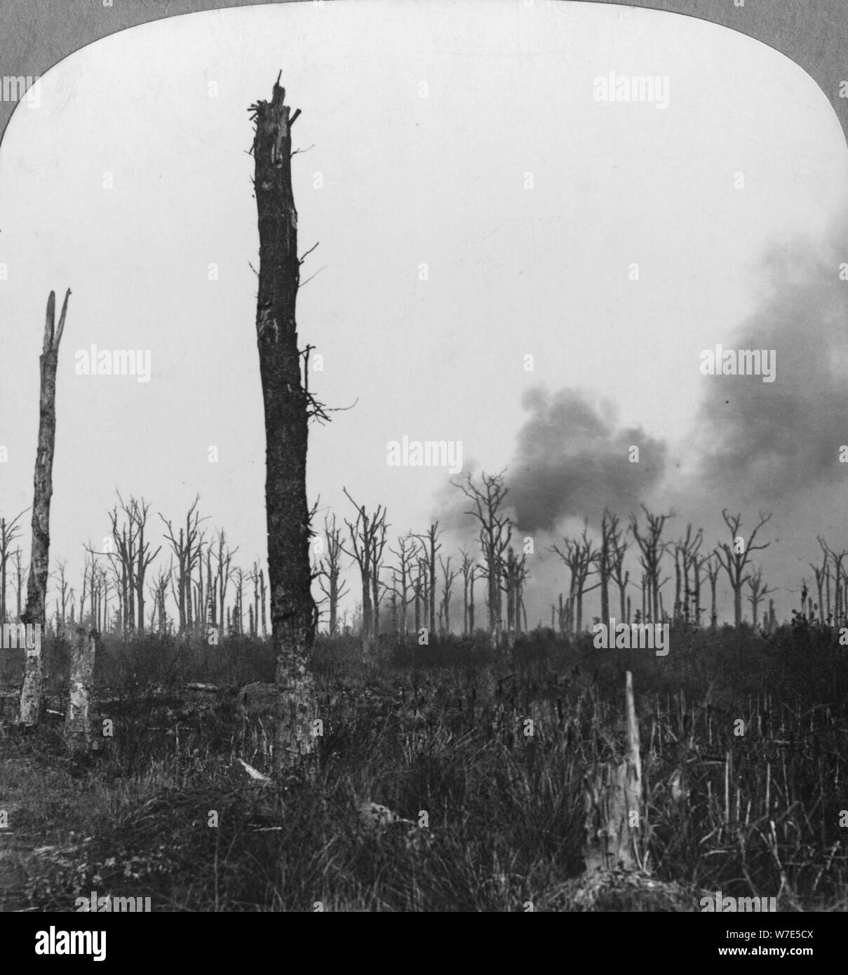 1st world war shells hi-res stock photography and images - Alamy