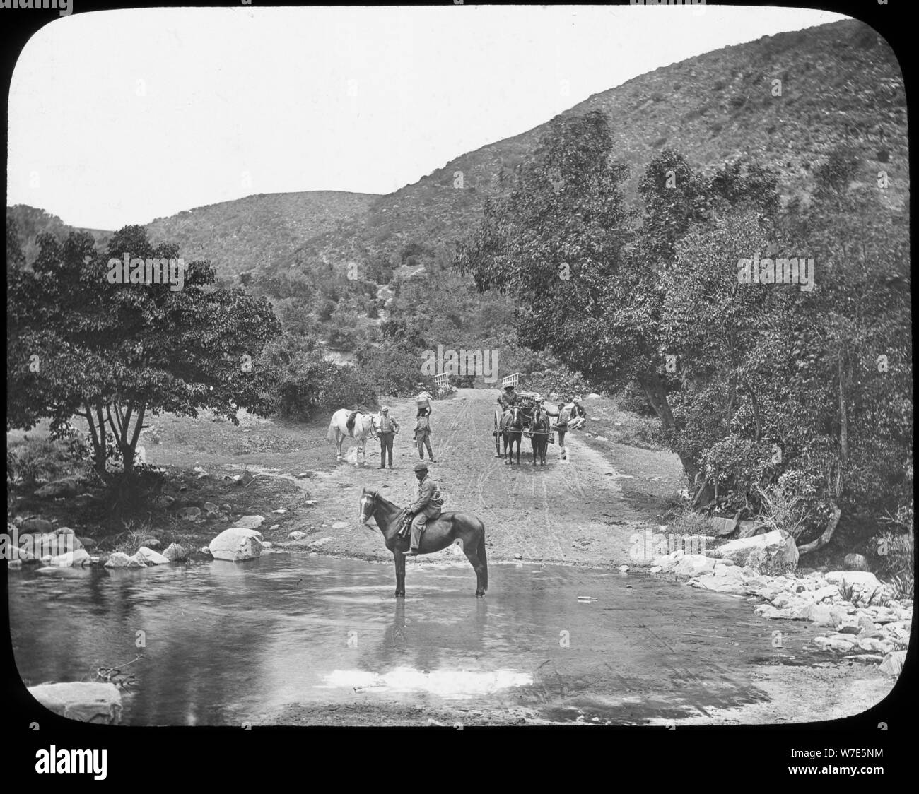 Horses south africa hi-res stock photography and images - Alamy