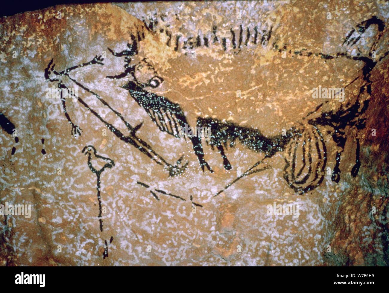 Lascaux cave painting hi-res stock photography and images - Alamy