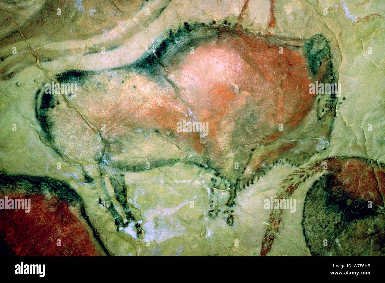 Paleolithic cave-painting of Bison from Spain. Artist: Unknown Stock ...